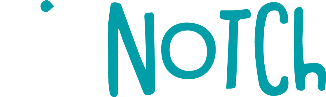 Notch Logo Top Notch Dezigns | Top Interactive Agencies